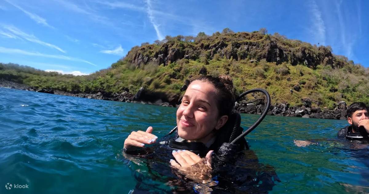 PADI Temui Selam Skuba di Galapagos dengan PADI Resort - Klook Amerika ...