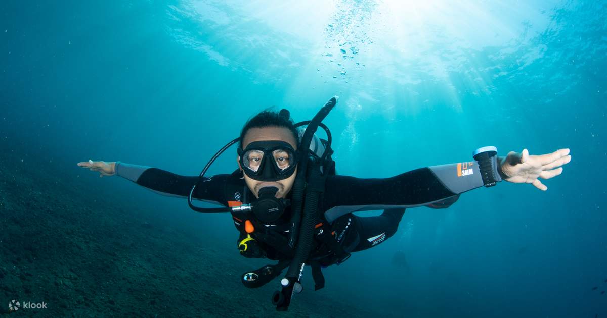 Explore Bali's Underwater World with the PADI 5 Star Dive Resort | OW ...