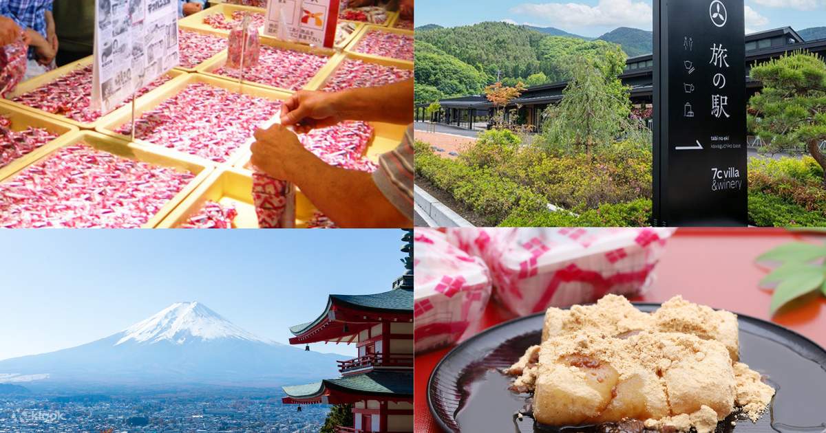 Fuji Mountain Views & Kikyo Shingen Mochi All-you-can-pack Tour - Klook ...