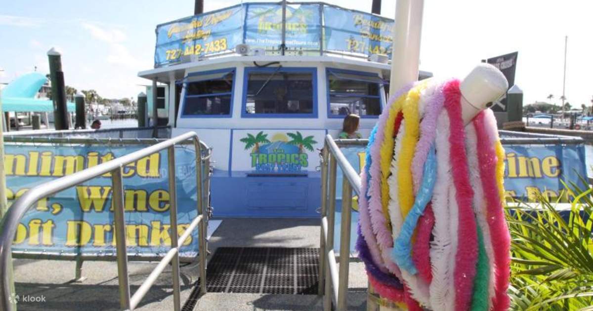 Menaiki Bot Dolphin Encounter di Pantai Clearwater - Klook Amerika Syarikat