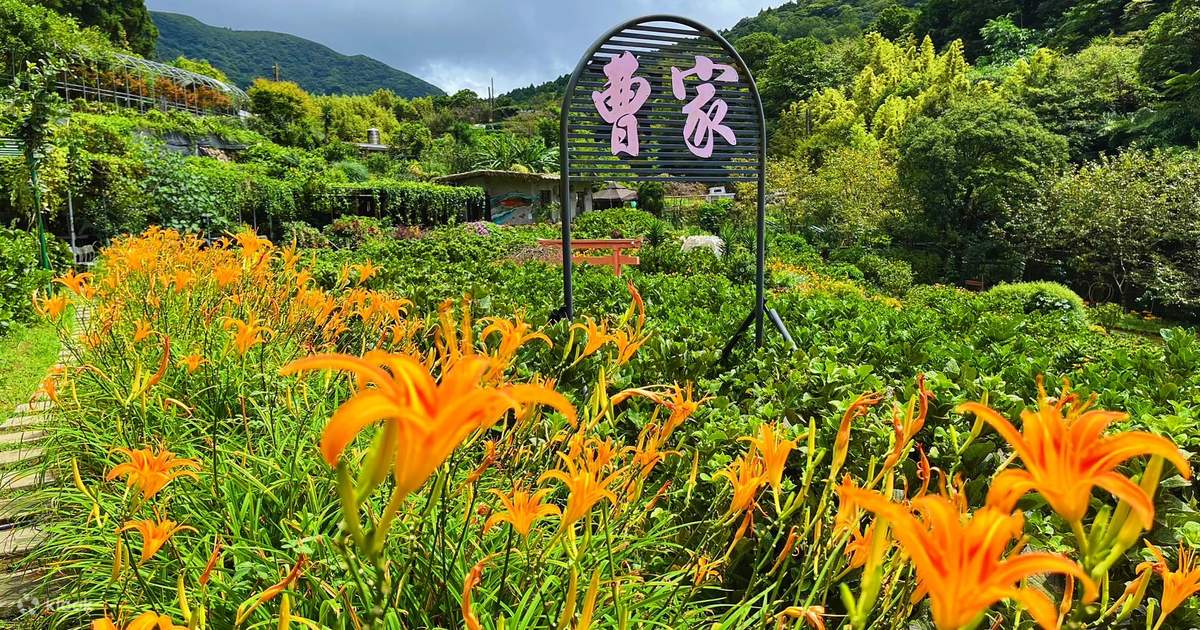 Taipei｜Caojia Flower Field｜Lily Day Experience｜Tickets - Klook