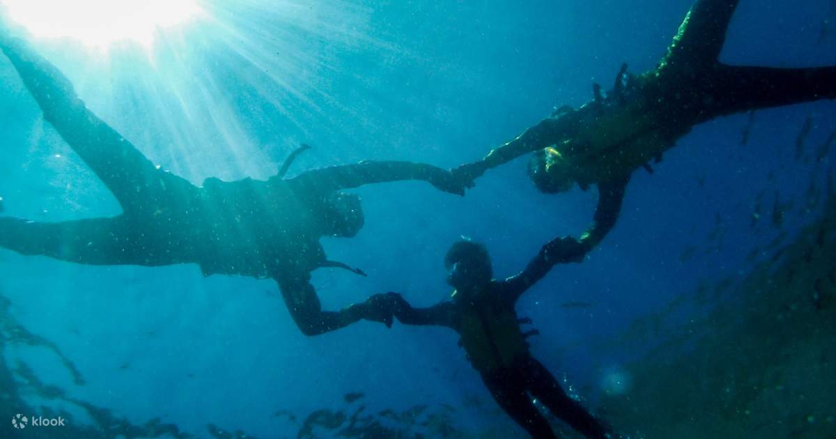 Boat Snorkeling Experience in Nobeoka, Miyazaki - Klook