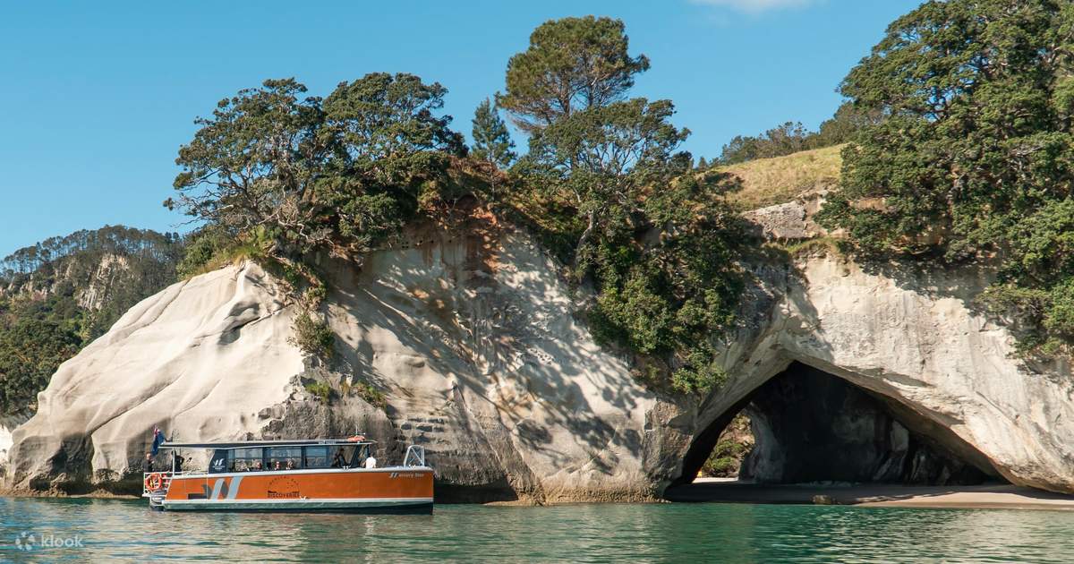 Cathedral Cove, Coast & Cave Tour - Mercury Bay Discoveries - Klook ...