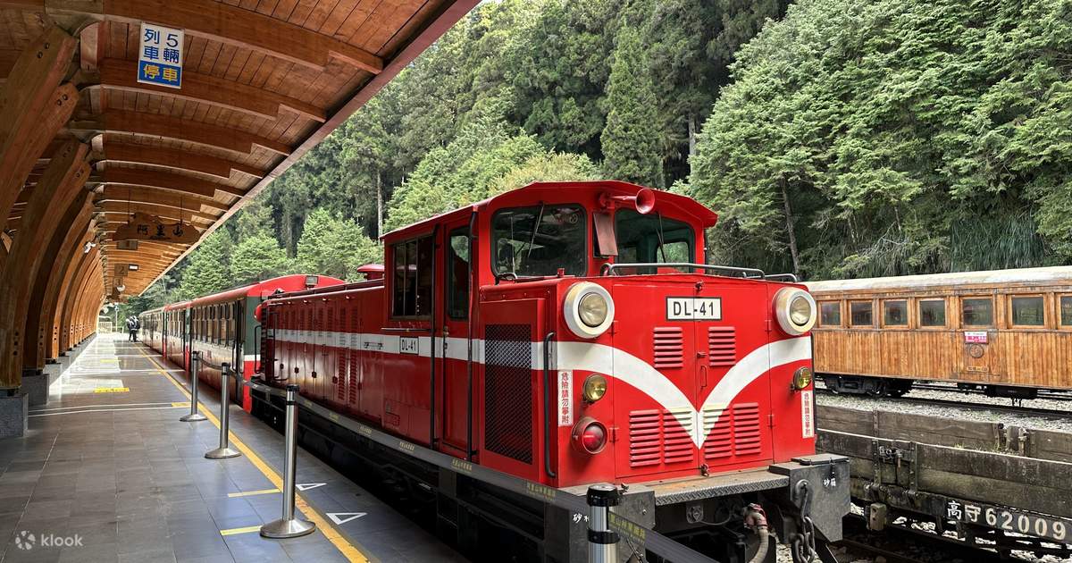 Chiayi-Alishan-day-tour | Klook