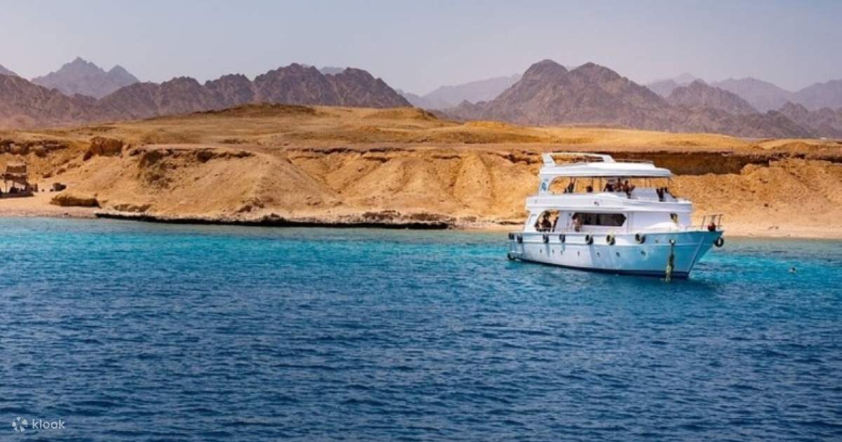 Tiran Island Snorkeling Sea trip, Lunch & Transfer - Sharm El Sheikh ...