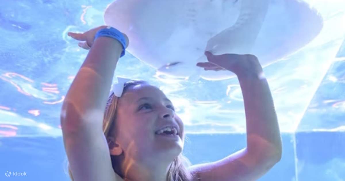 SeaQuest in Las Vegas Admission - Klook Philippines