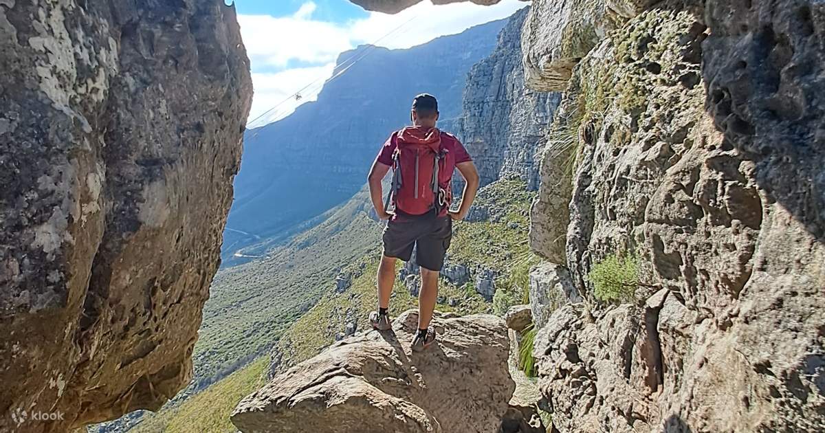 Hike Table Mountain Cape Town - Klook New Zealand