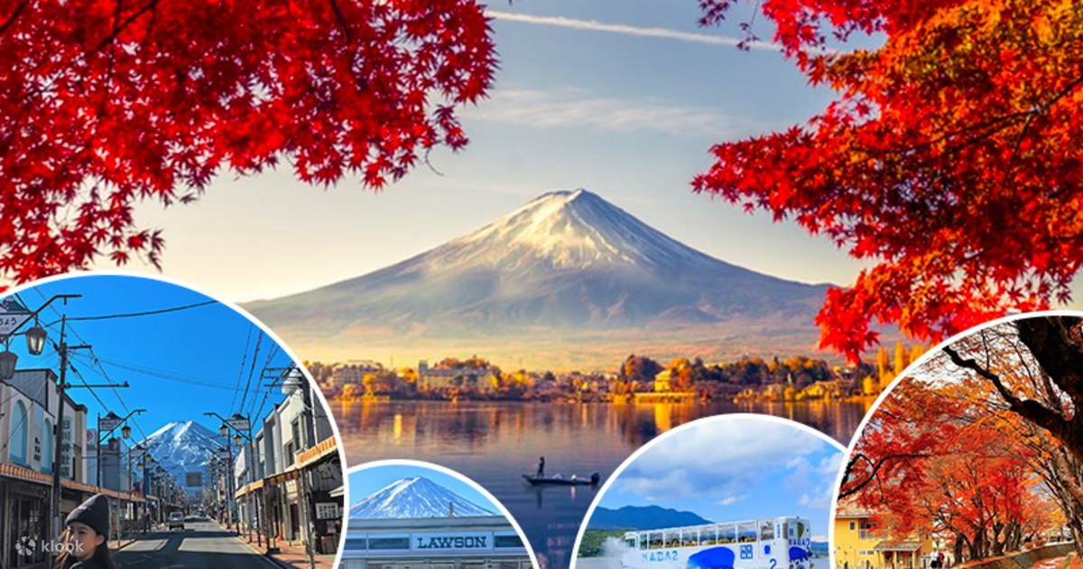Mt. Fuji, Lake Kawaguchi & Lake Yamanaka KABA Amphibious Hippo Bus ...