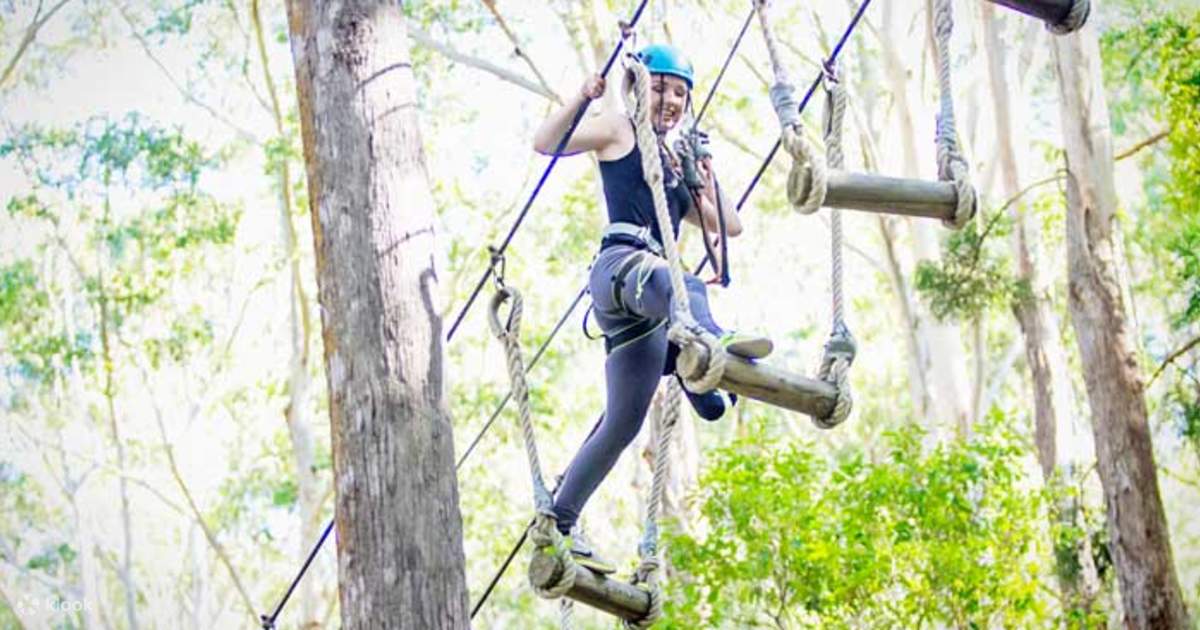 TreeTop Challenge Currumbin Wildlife Sanctuary - Klook