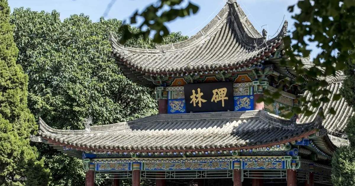 Tickets for Shaanxi Xi'an Forest of Steles Museum + Guide (Professional ...