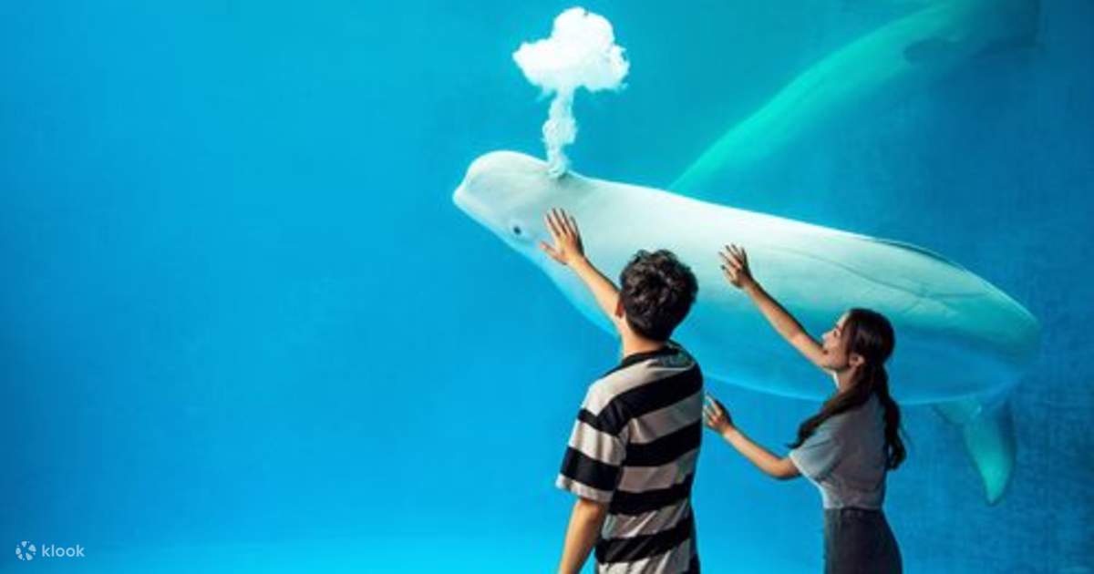 Chengdu Polar Ocean Park - Klook