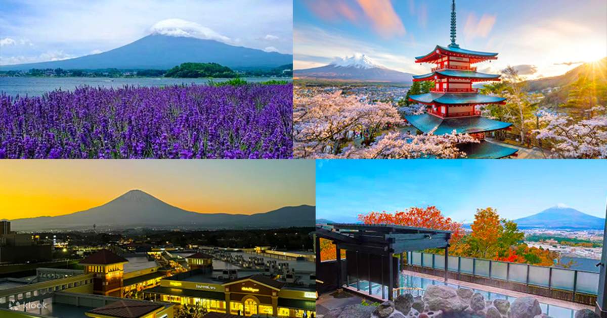 [Fuji Flower Viewing + Shopping or Hot Spring Tour] Arakurayama Park ...