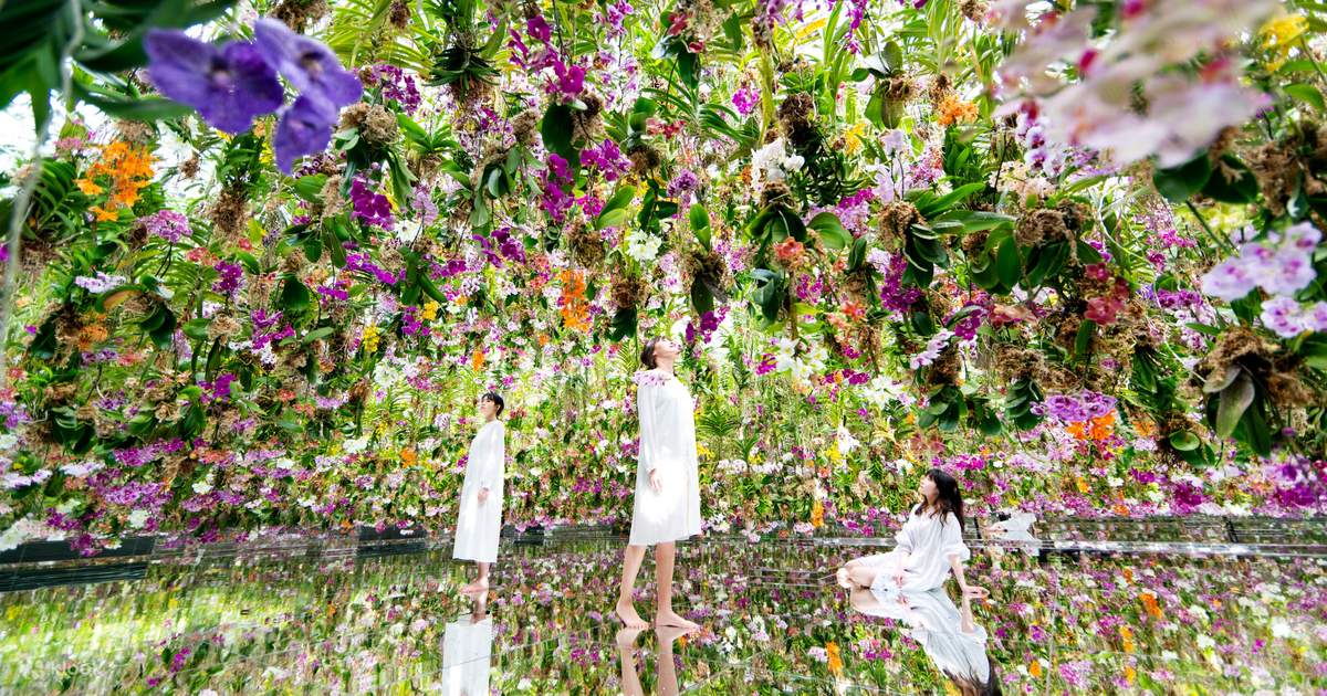 teamLab Planets Ticket - Klook, Vereinigte Staaten