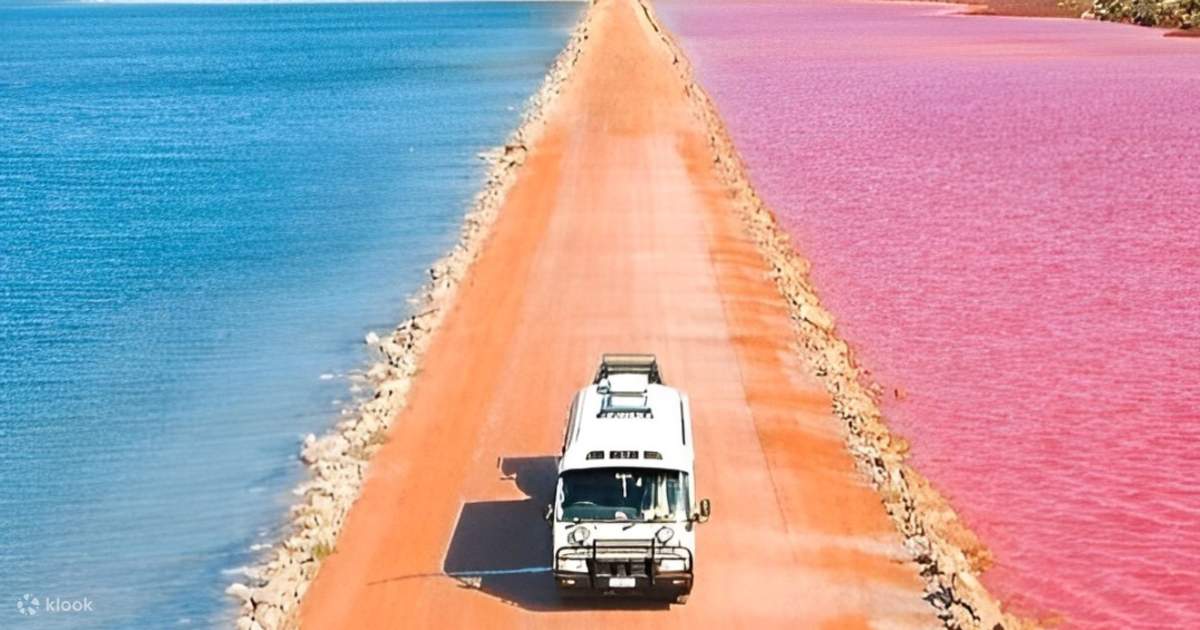 2H1N Danau Merah Muda, Jendela Alam, Tur Puncak & Lancelin - Klook ...