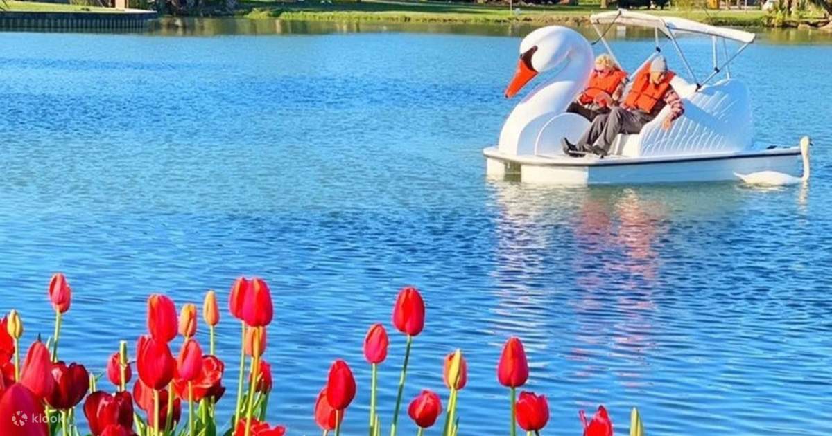 Penyewaan Perahu Angsa di Echo Park Lake - Klook Indonesia