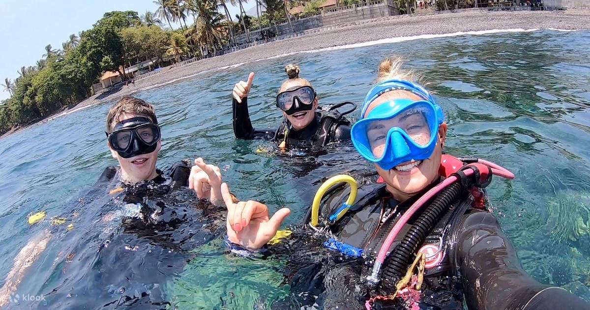 Discover Underwater Wonders with 2 Dives at USAT Liberty, Tulamben ...