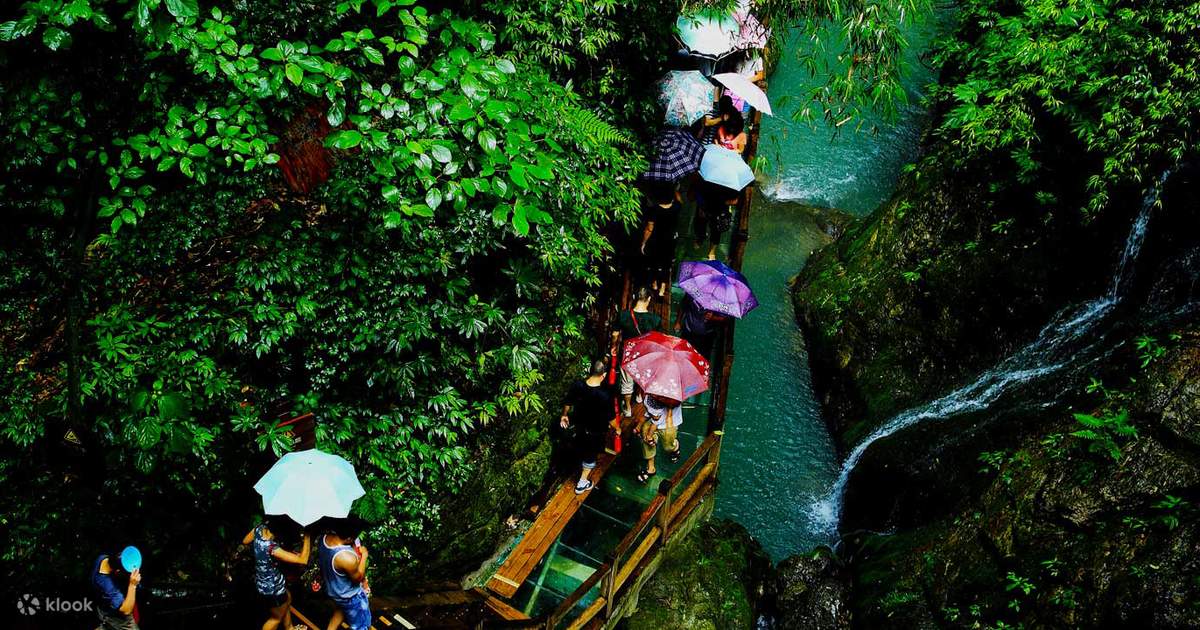 Black Mountain Valley Ticket in Chongqing - Klook