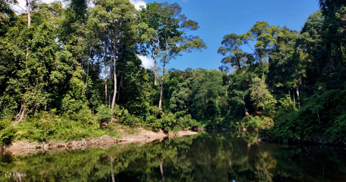 Taman Negeri Rompin Trekking Tour from Pahang - Klook