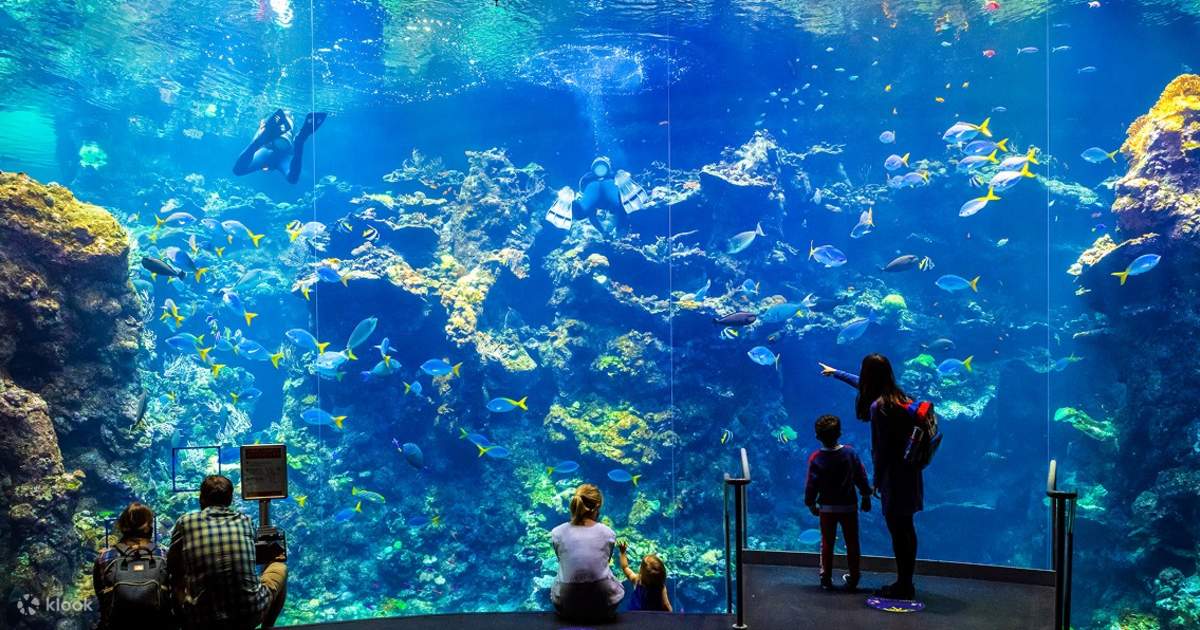 Golden Gate Guided Tour with Science Museum Pass In California - Klook