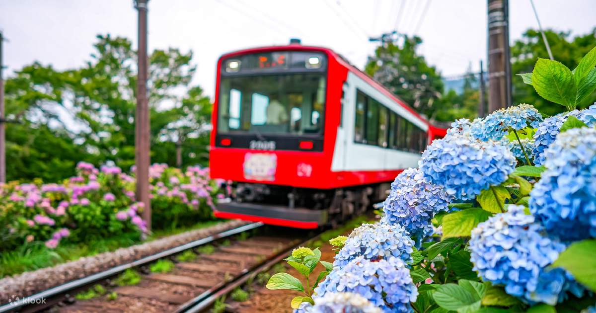 Hakone Hydrangea Train, Pirate Ship & Lunch at Hotel de Yama - Klook ...