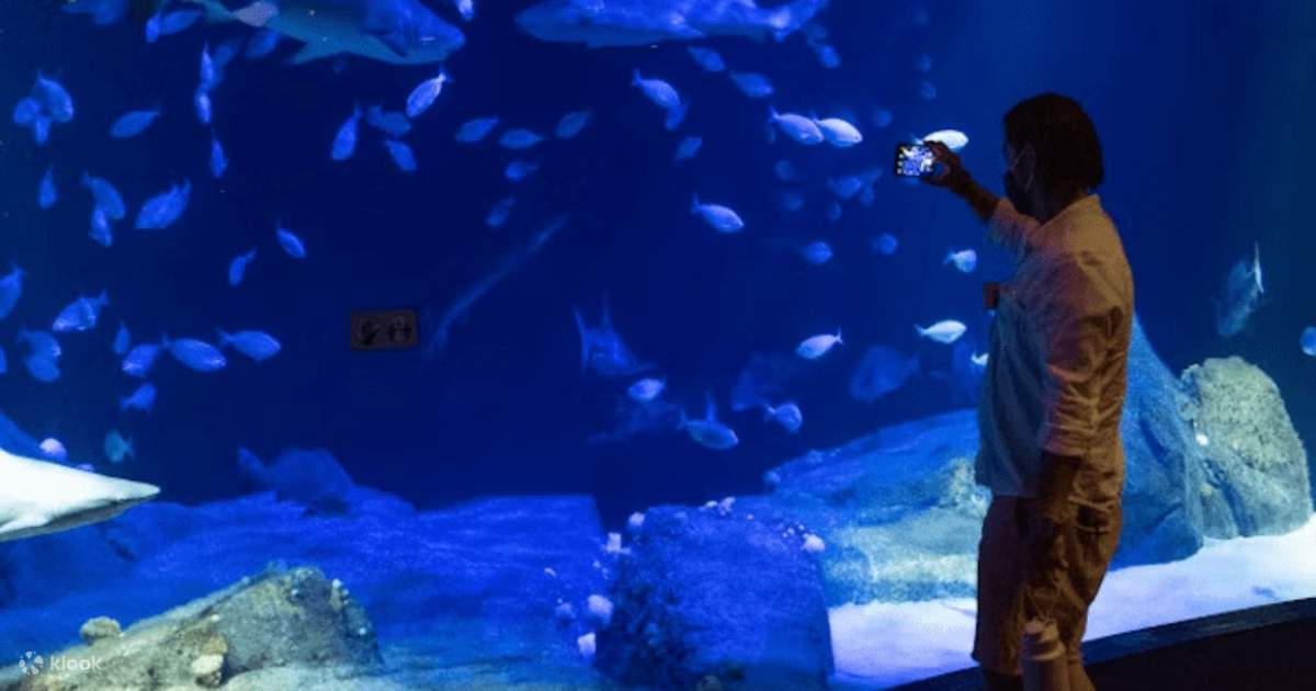 紐約水族館門票(直接入場) Klook 客路
