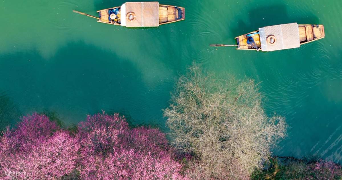 Hangzhou Hermit Tea Life One-Day Tour: Xixi Wetland + Longjing Village ...