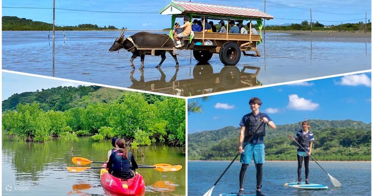 Iriomote Island Yubu Island sightseeing & selectable activity 1 day ...