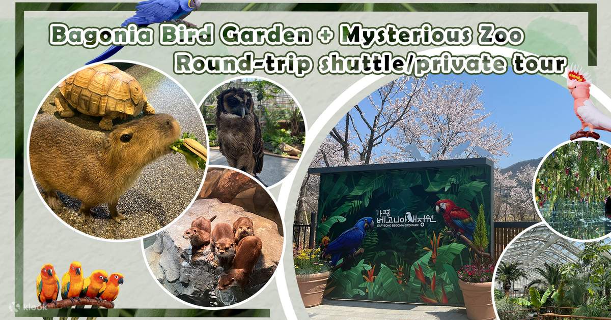 Begonia Bird Garden+Mysterious Zoo+Aqua Cafe Round-trip shuttle - Klook