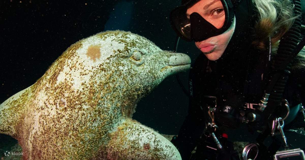PADI Discover Scuba Diving in Catalonia with PADI 5 Star CDC - Klook ...