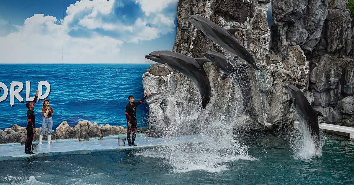 Buy Bangkok Safari World Tickets Online and Meet Exotic Animals - Klook