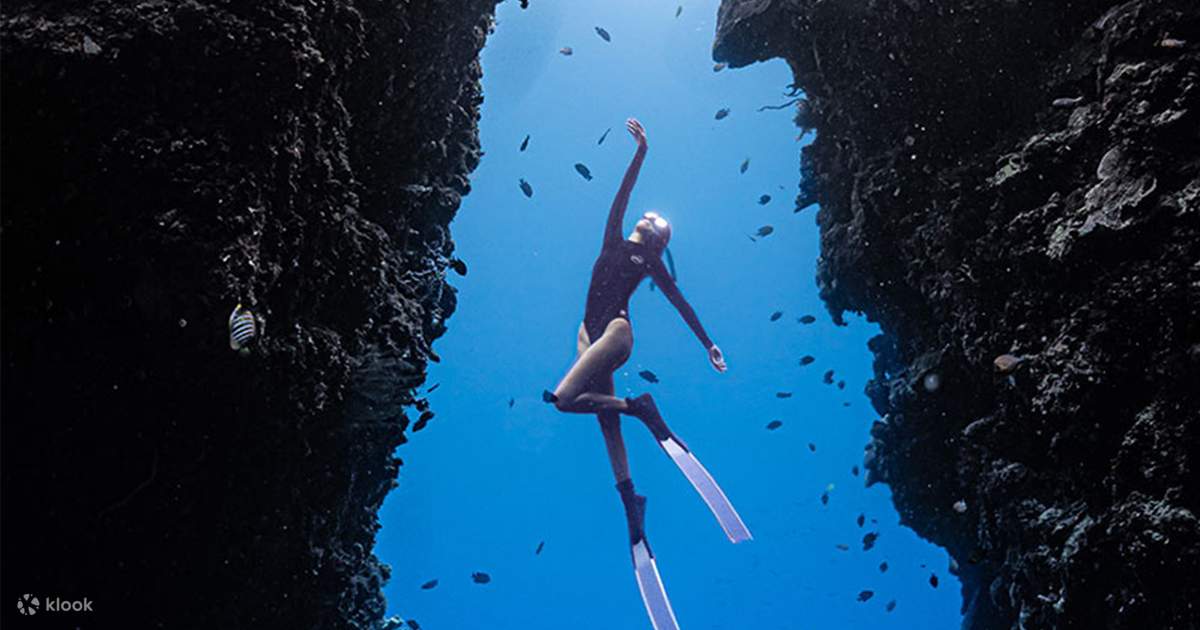 Experience an Exciting Freediving Tour at Napaling Reef and Witness the ...