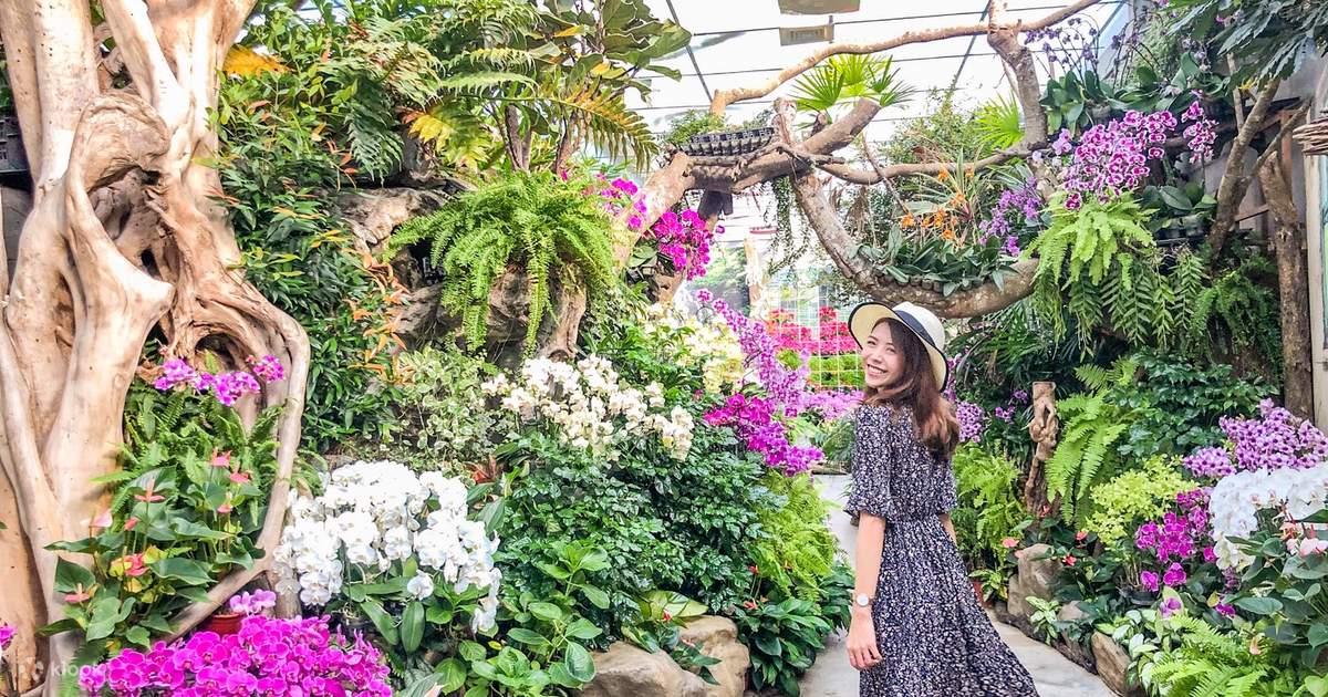 Miaoli Hualu Leisure Farm Tickets - Klook Malaysia