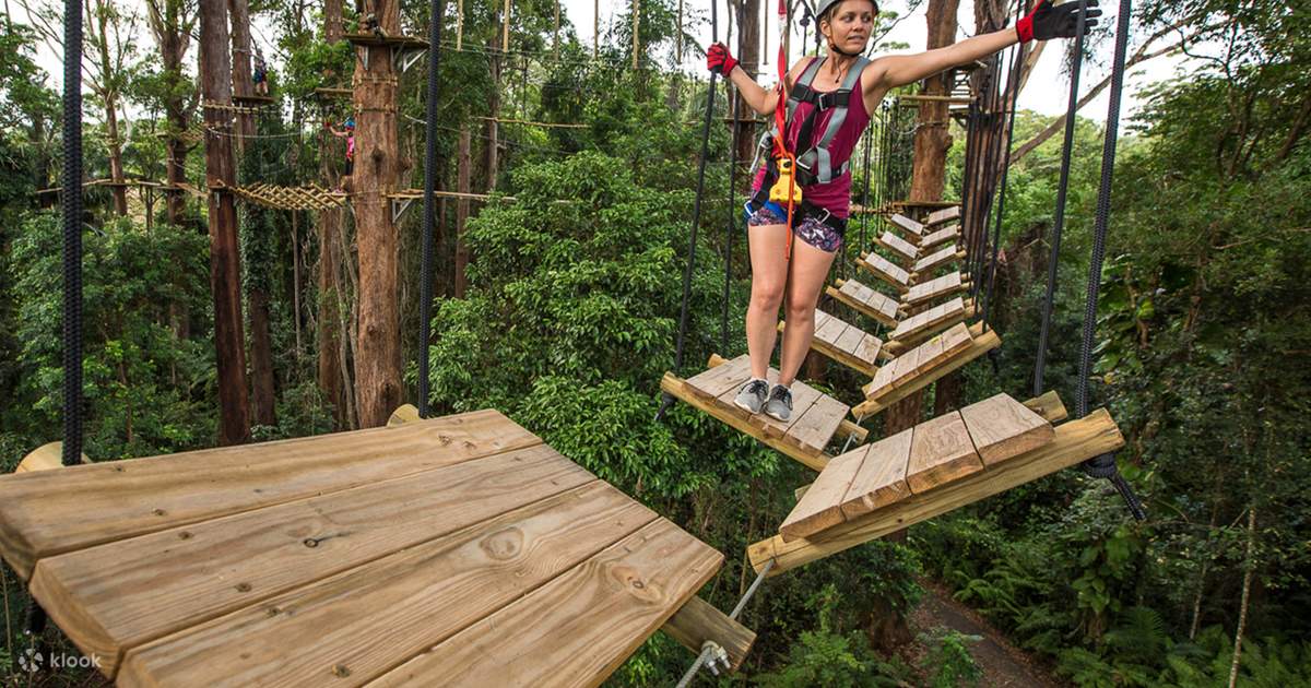 TreeTop Challenge in Sunshine Coast - Klook