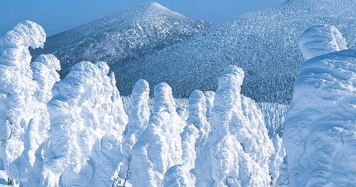 Zao Juhyo & Zao Fox Village One-Day Tour (Departing from Sendai) - Klook