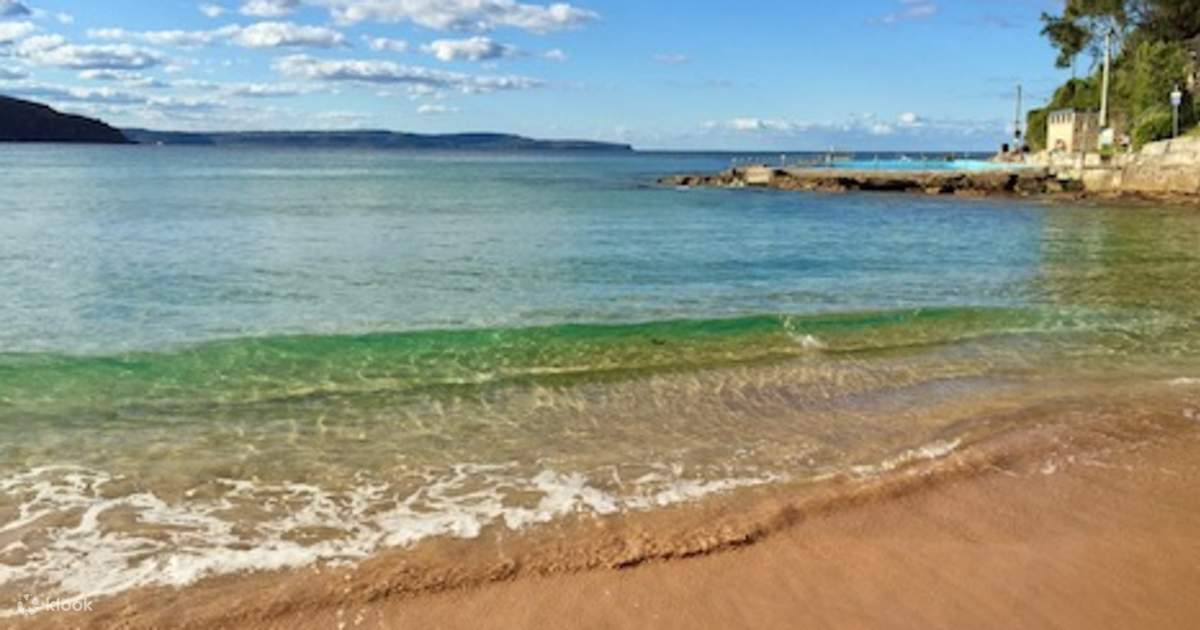 Sydney's Northern Beaches and Ku-ring-gai National Park Bus Tour ...