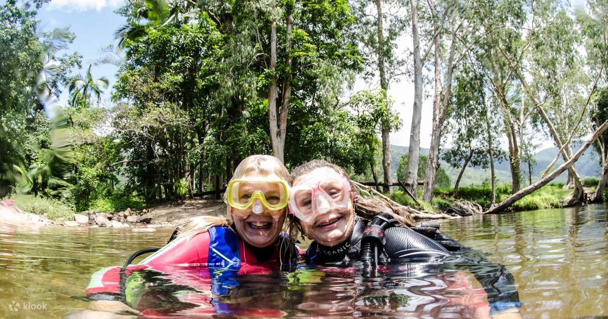 A Rainforest Try Dive in Queensland with PADI Dive Center - Klook