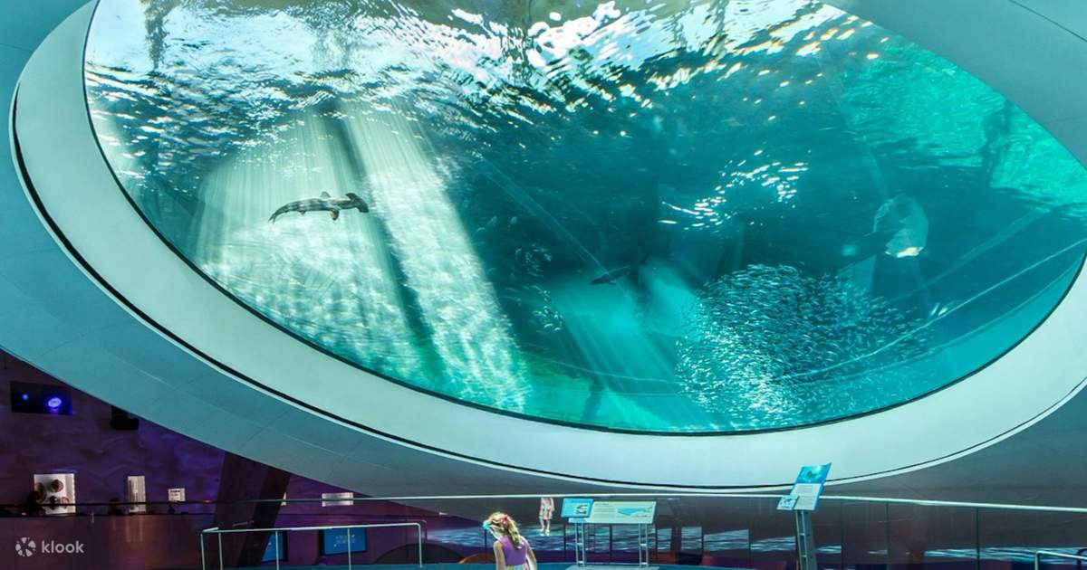 Billet pour le Phillip & Patricia Frost Museum of Science à Miami ...