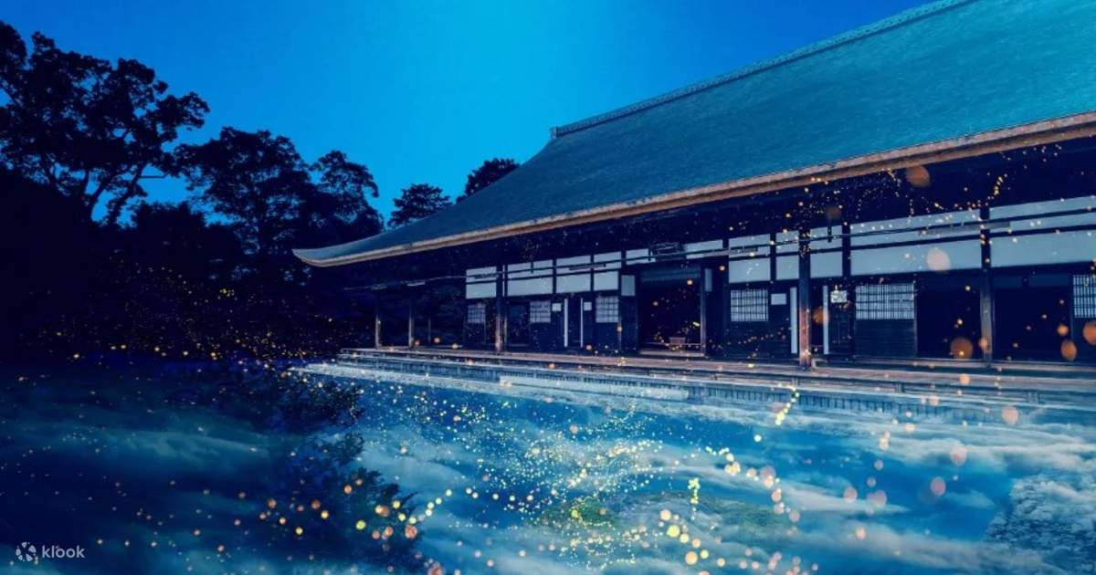 VIE giới thiệu ZEN NIGHT WALK KYOTO - Klook Việt Nam