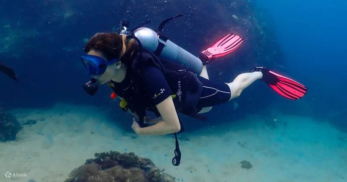PADI AOW Diver in Koh Samui with PADI 5 Star Dive Center - Explore the ...