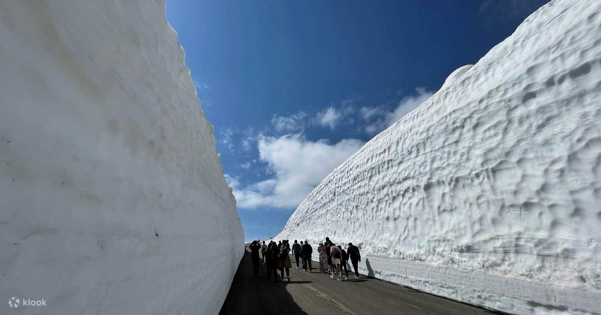 Miyagi Join In One Day Bus Tour with Zao Snow Wall & Sakura - Klook ...