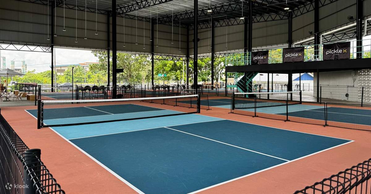 Experiencia de Pickleball por Pickle X – Juego Divertido y Activo en ...