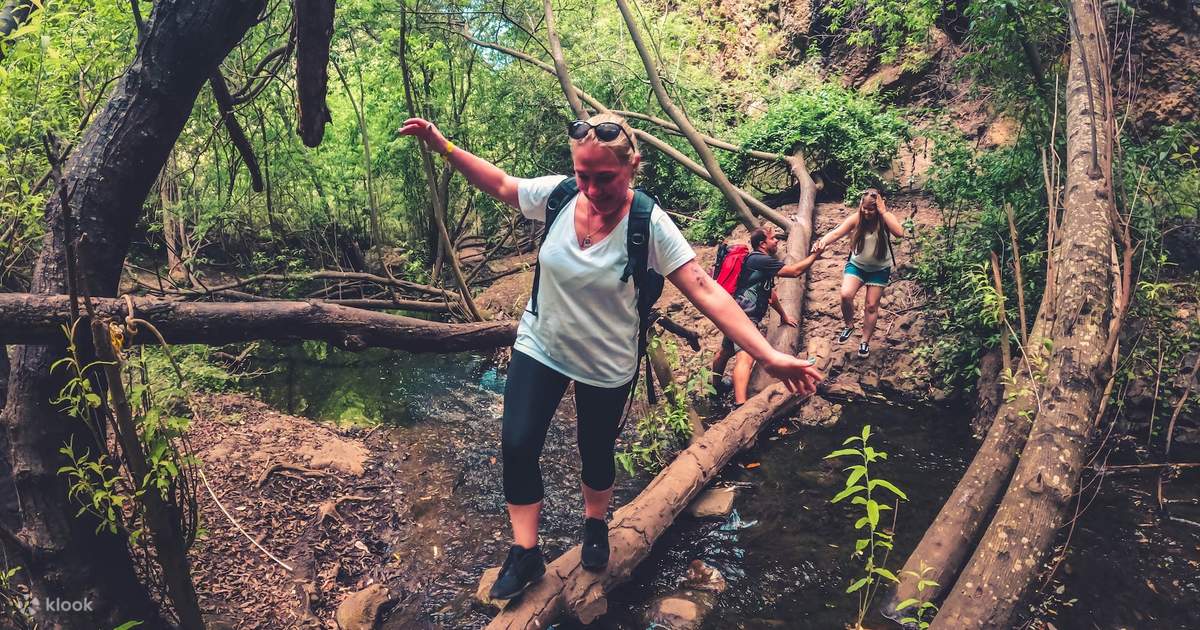 Rainforest trekking with an eco-cultural tour in Gran Canaria - Klook ...