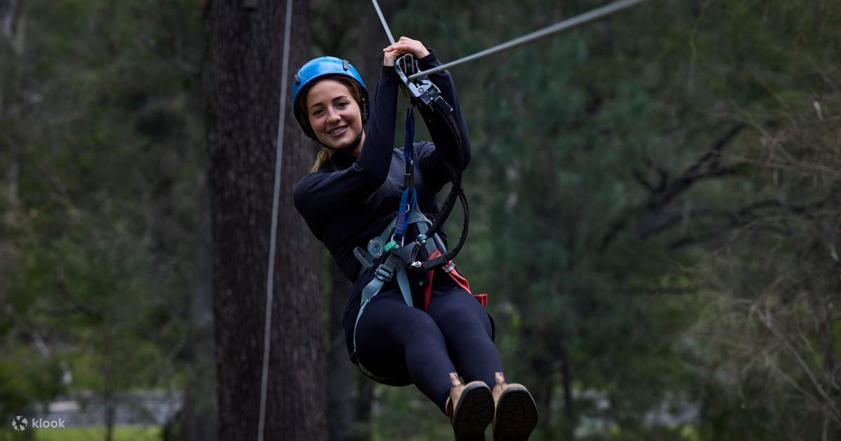Entrée au parc Forest Adventures à Busselton - Klook États-Unis