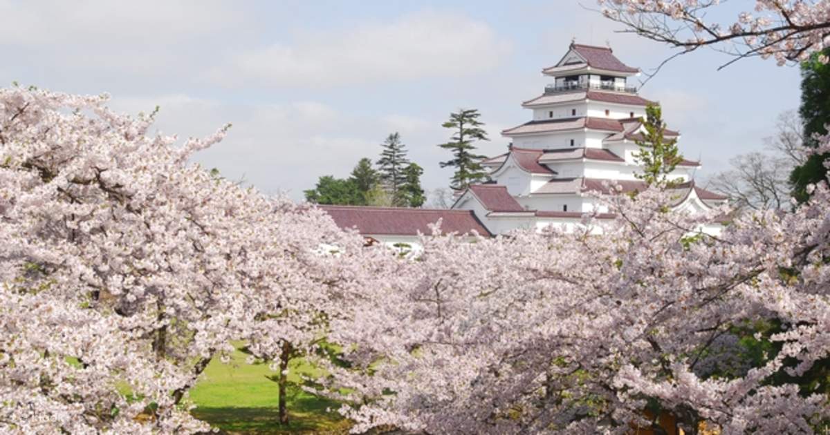 Tsurugajo Castle（Aizu-Wakamatsu Castle） - Klook