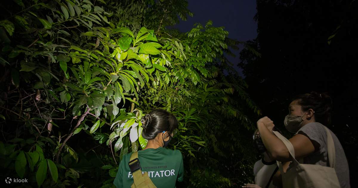 Naturalist Night Adventure in Singapore - Klook