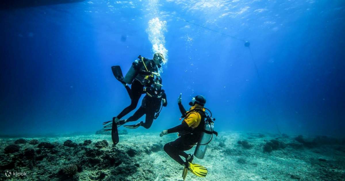 Bot Skuba Diving 2 Perhentian Menyelam untuk pemula & Makan Tengah Hari ...