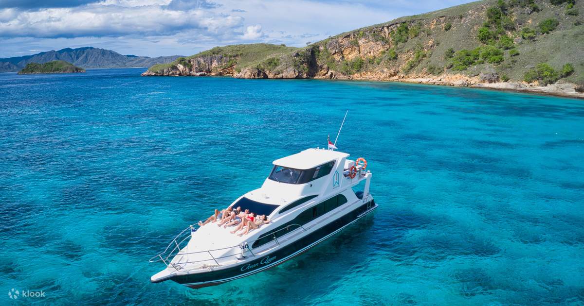 Lawatan Bot Laju Setengah Hari Komodo dari Labuan Bajo - Klook Amerika ...