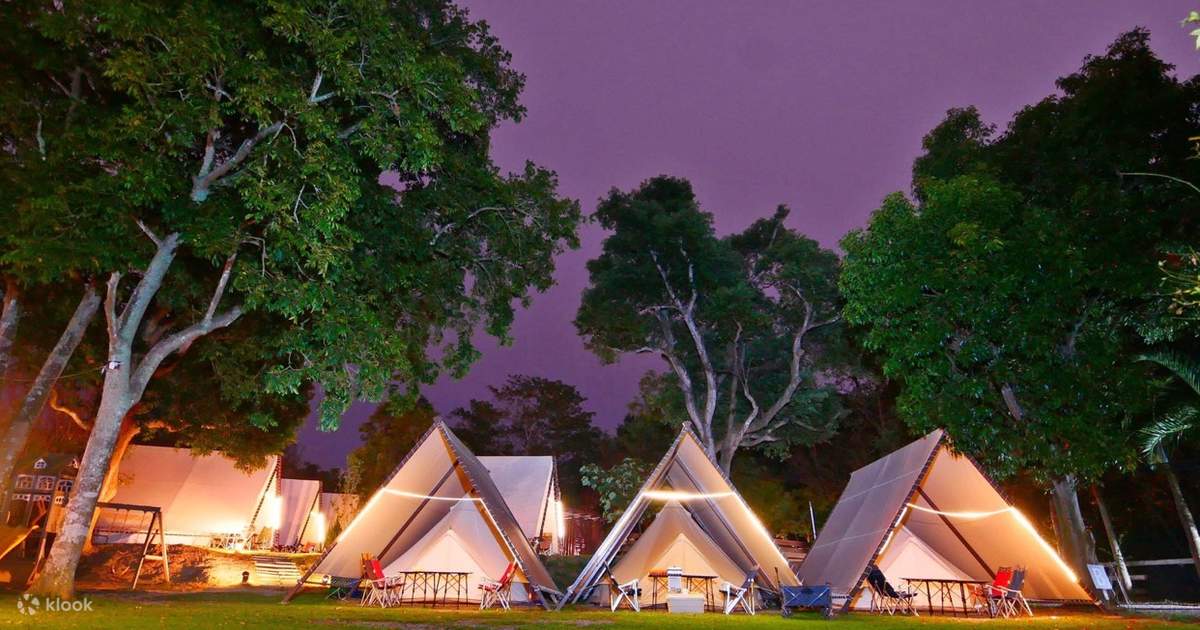 Miaoli: Bell Tent Glamping Experience in Whispering Tree Campground - Klook