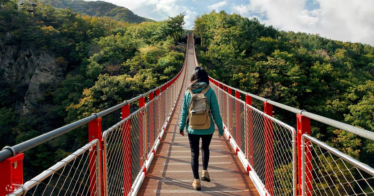 DMZ 2. Tunnel + Lake Suspension Bridge - Klook, Vereinigte Staaten
