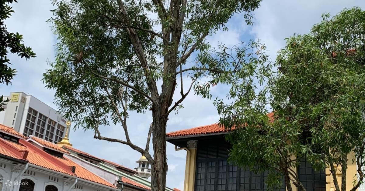 Kampong Heritage Walk with Bunga Rampai Making, Sarong Tying and ...